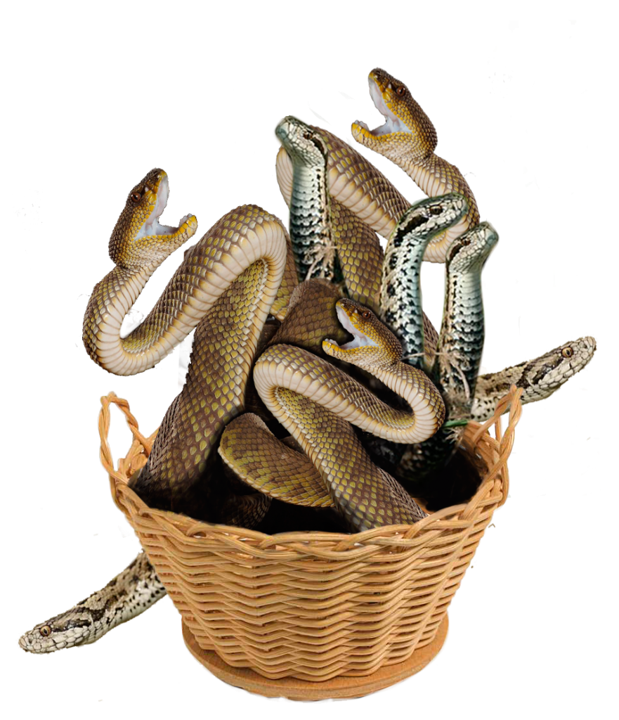 Secera, ciocanul și dalta | Jurnalul din Ardeal