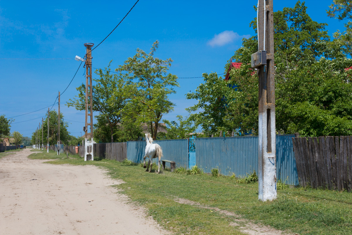 Letea. Satul din "poveștile" Deltei Dunării (FOTO) - Jurnalul de Satu Mare